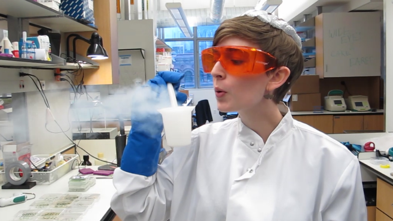 Science in Real Life, on a YouTube Channel - UNAM Global