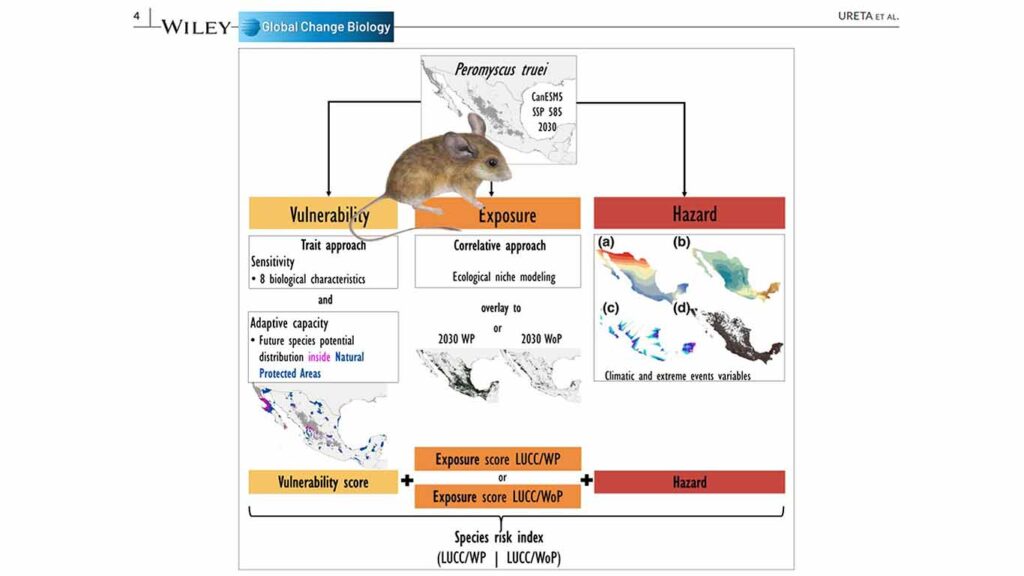 Grave riesgo para mamíferos de más de 15 kilogramos en 2070 - UNAM Global