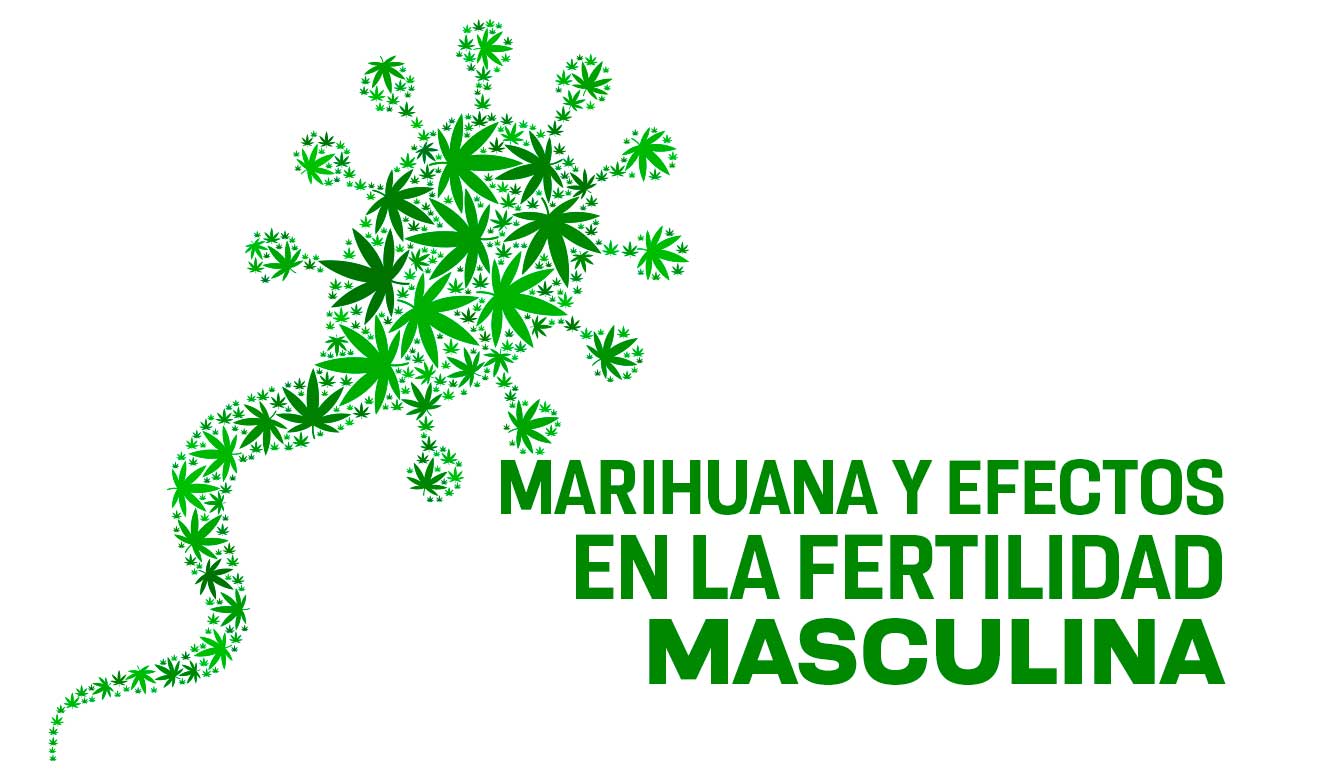 Efectos Secundarios De La Marihuana