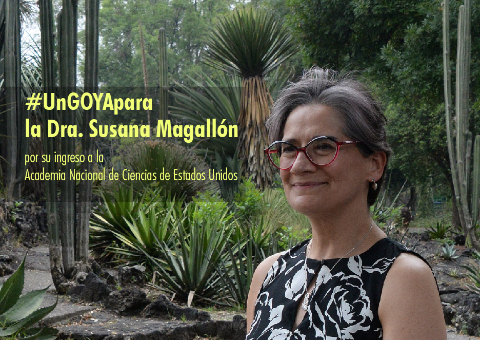 Ingresa Susana Magallón a la National Academy of Sciences - UNAM Global