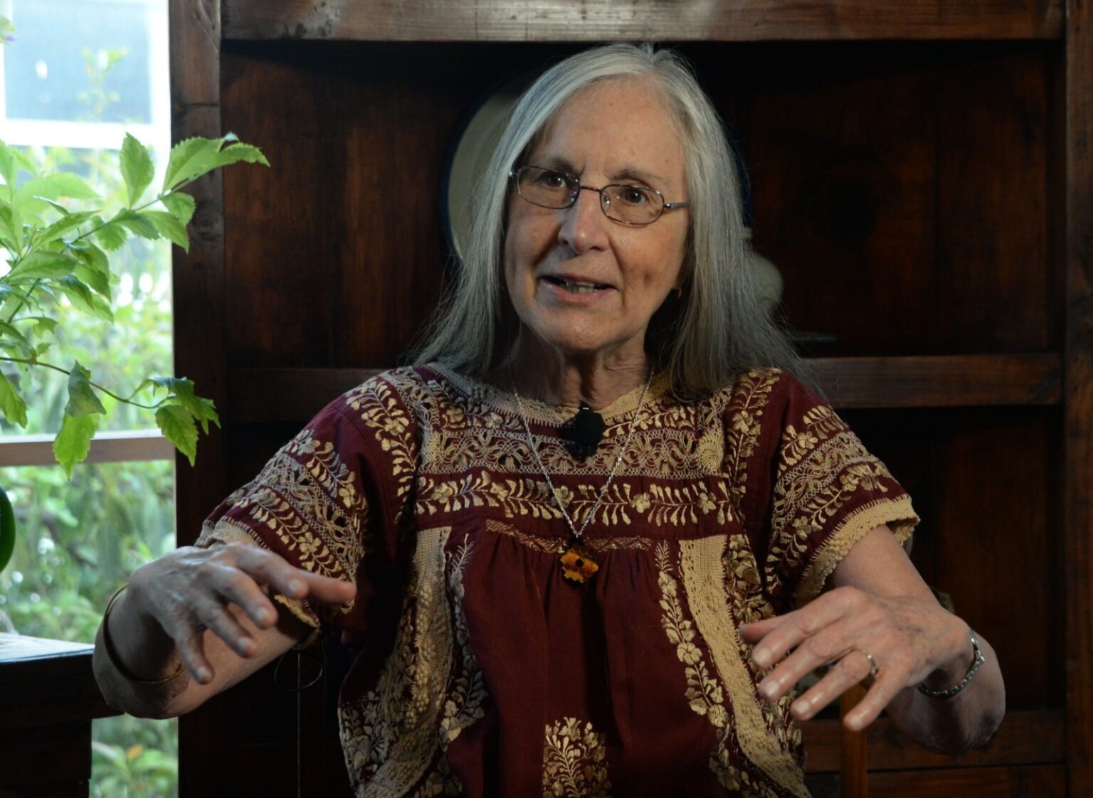 Julieta Fierro se suma a Einstein y Darwin en la Academia ...