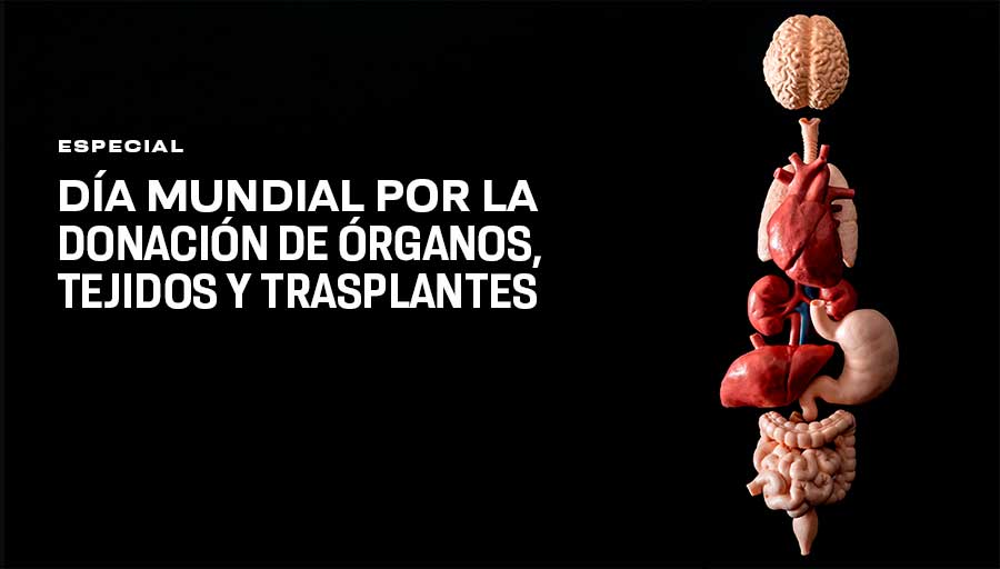 Día Mundial De La Donación De Órganos Y Tejidos Unam Global