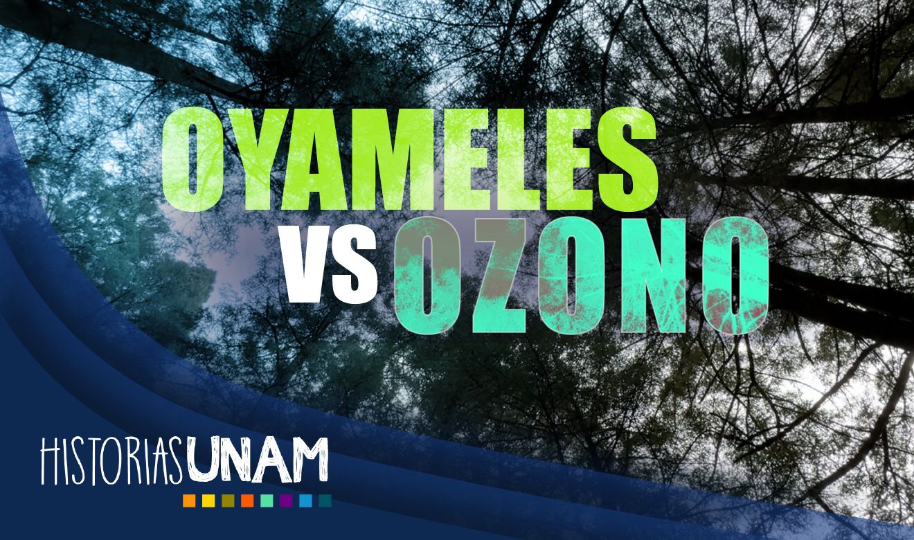 CONTAMINACIÓN Y ADAPTACIÓN DE LOS OYAMELES - UNAM Global
