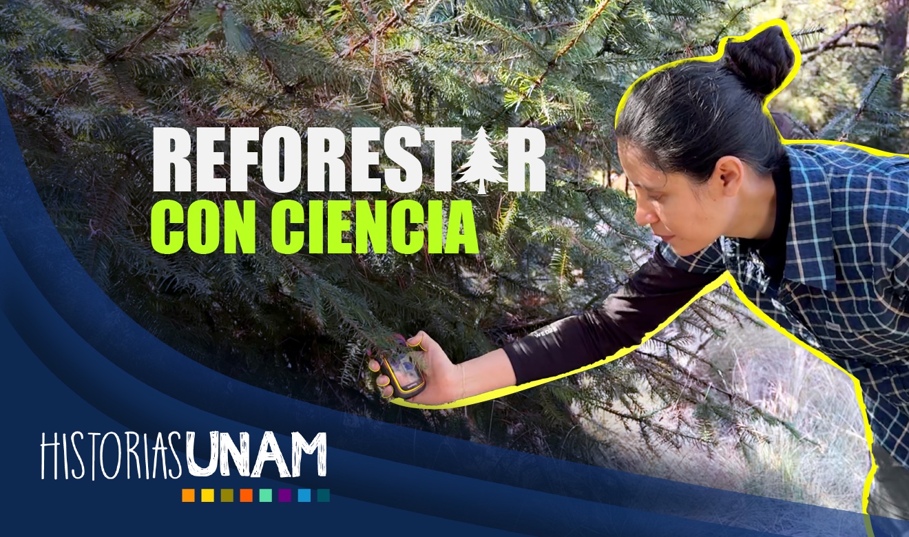 LOS GUARDIANES DEL BOSQUE DE OYAMELES - UNAM Global