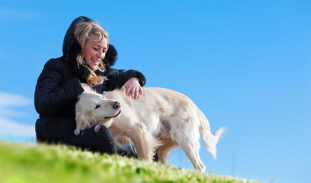 El perro: único animal que eligió estar con los humanos - UNAM Global