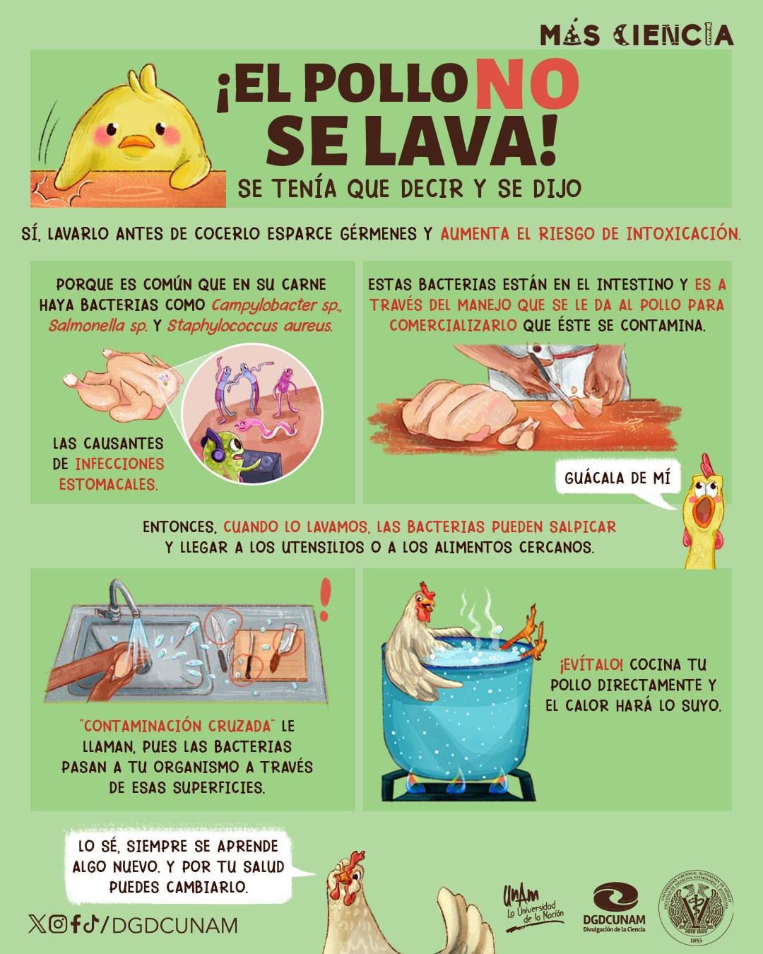 Lavar el pollo antes de cocinarlo podría ponerte en riesgo - UNAM Global